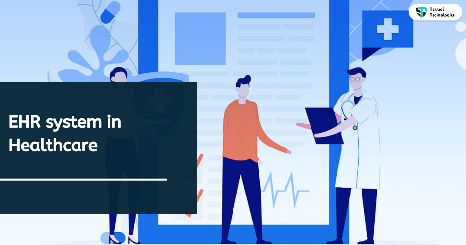 Ehr System In Healthcare Perks Features And Development Cost